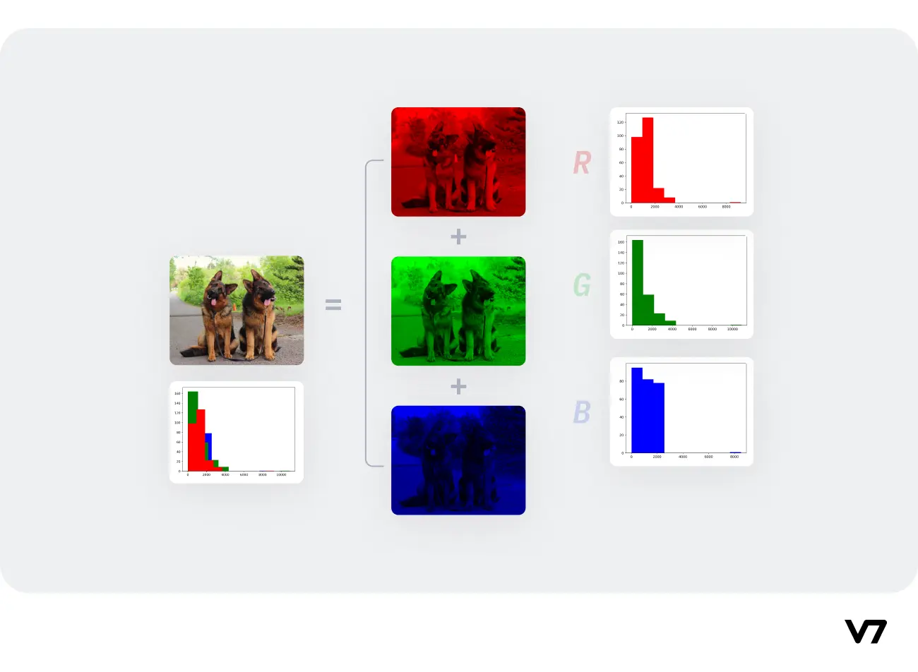 Image Processing: Techniques, Types, & Applications [2023]